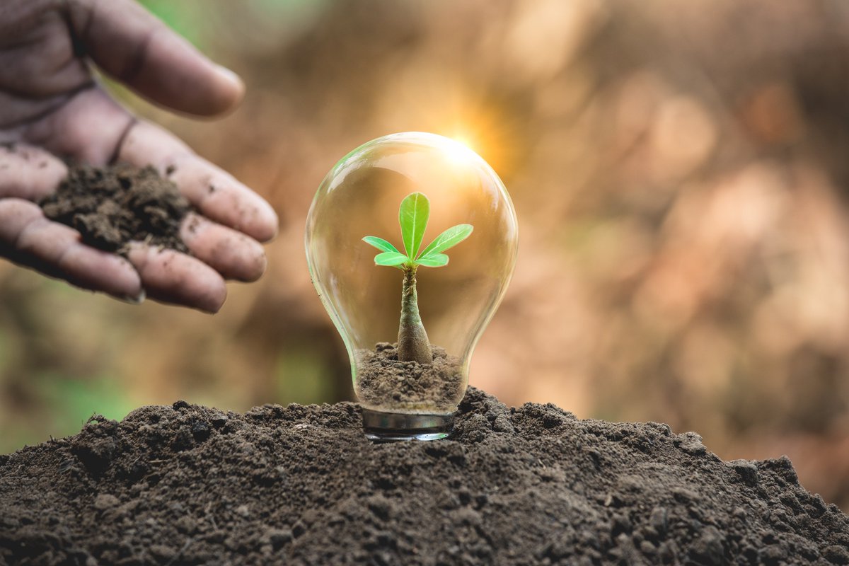 Les énergies renouvelables : Définition, différents types et avantages ...